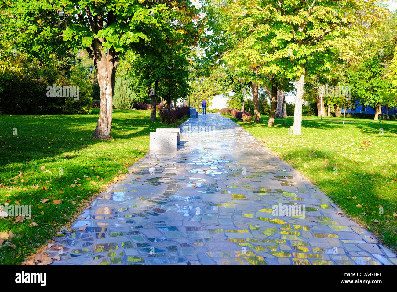 The way in the park with tree for exercise and relax Stock Photo - Alamy