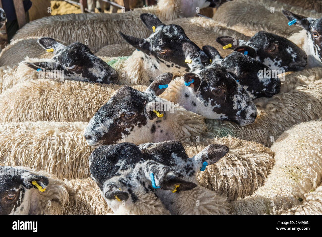 North yorkshire bentham hi-res stock photography and images - Alamy
