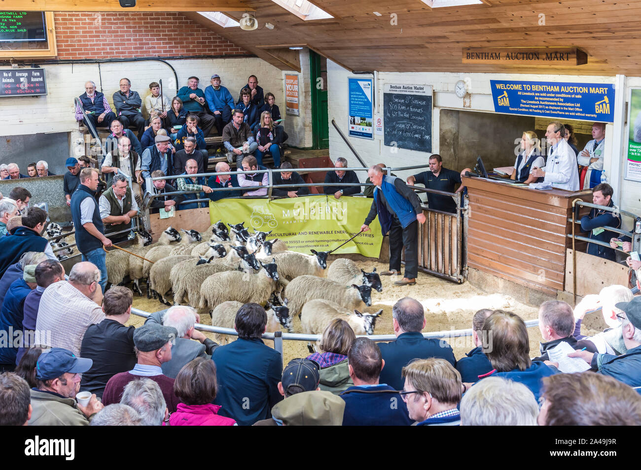 North yorkshire bentham hi-res stock photography and images - Alamy