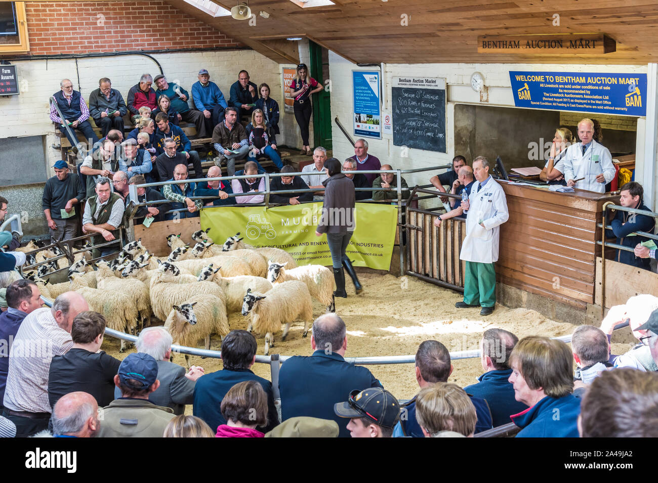 North yorkshire bentham hi-res stock photography and images - Alamy