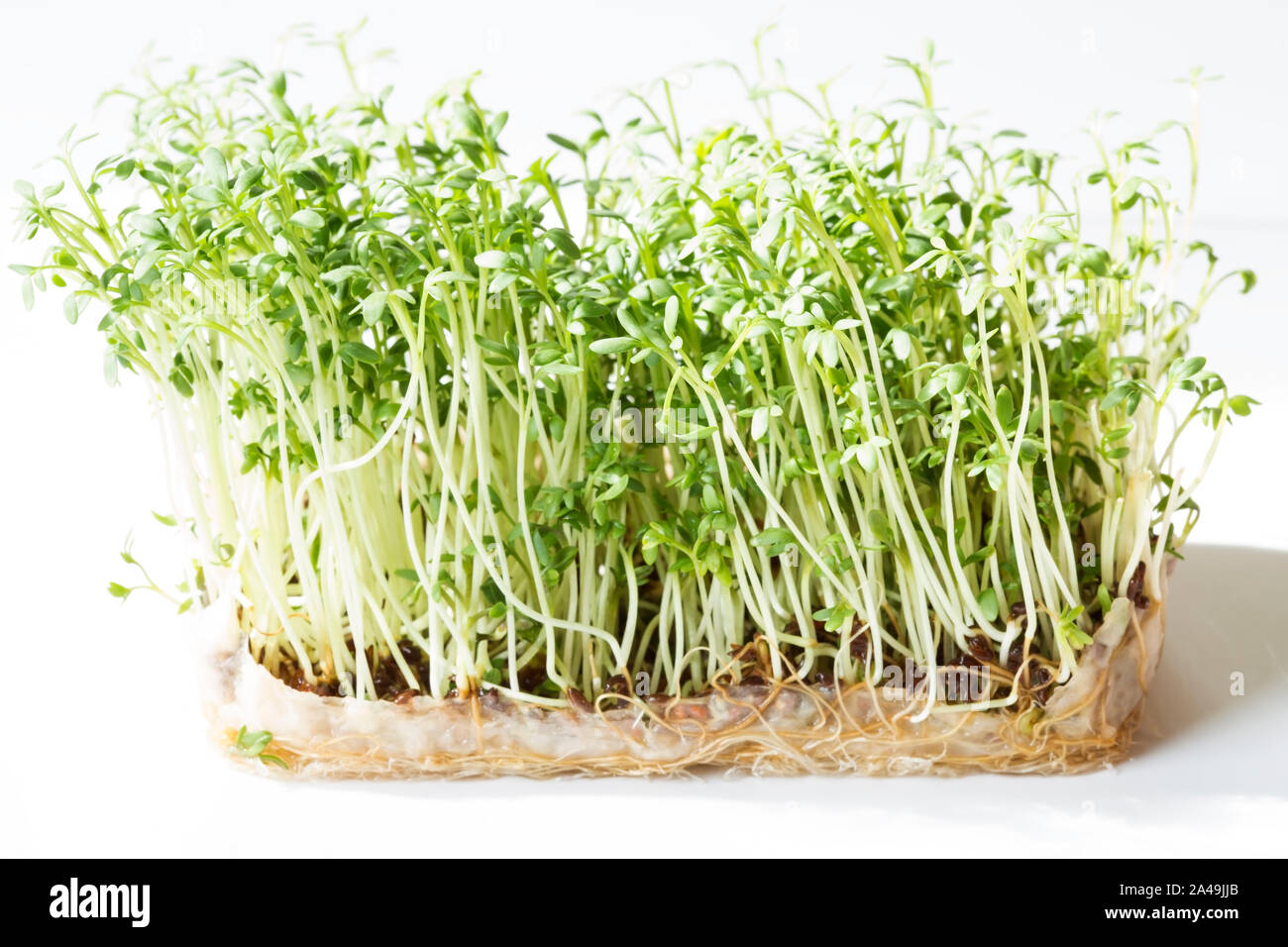 Green watercress bunch isolated on white Stock Photo - Alamy