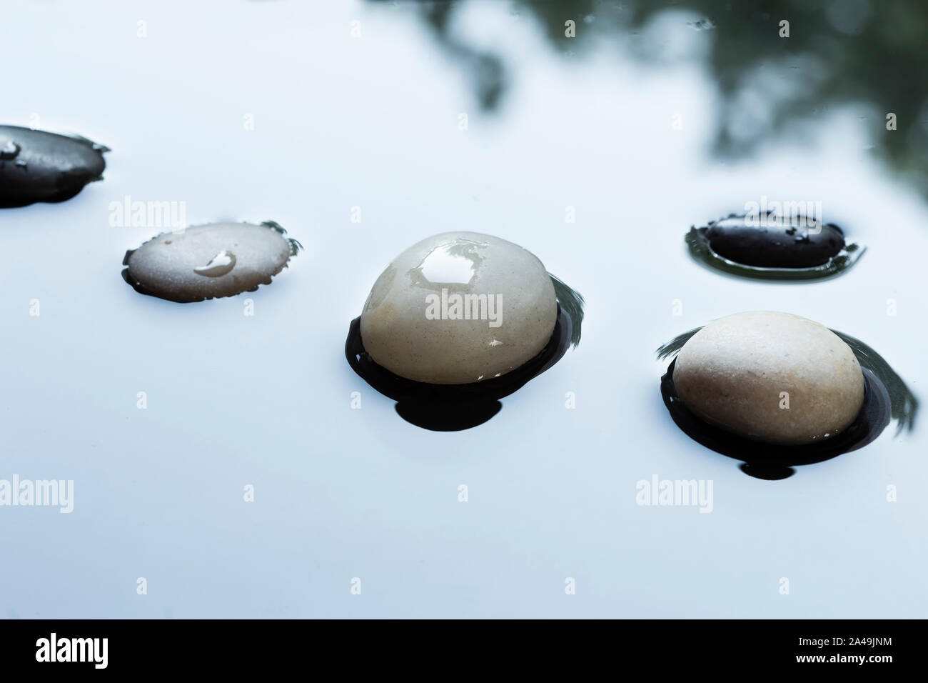 Zen pebbles in the water Stock Photo - Alamy