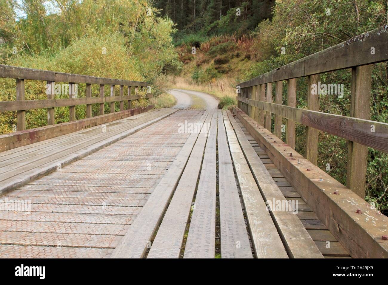Ettrick bridge hi-res stock photography and images - Alamy