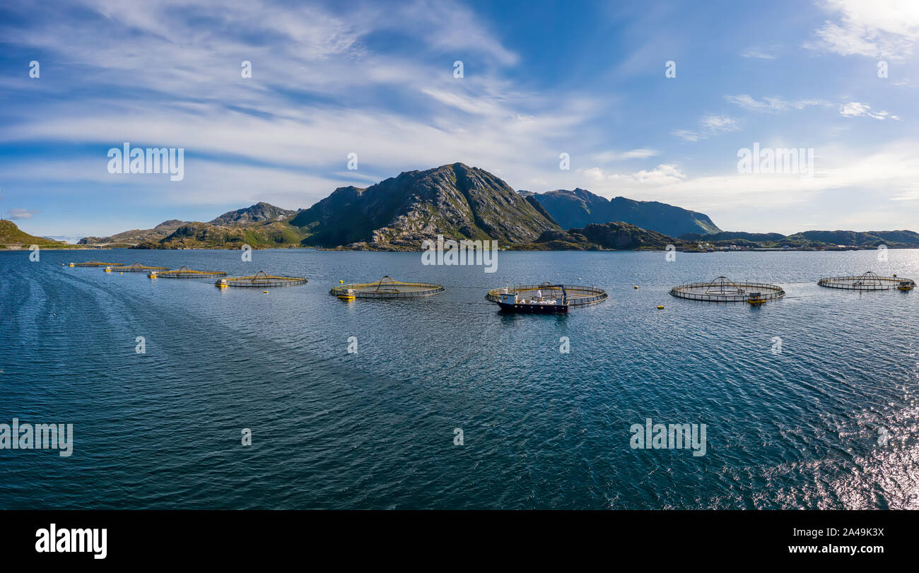 Farm salmon fishing in Norway. Norway is the biggest producer of farmed ...