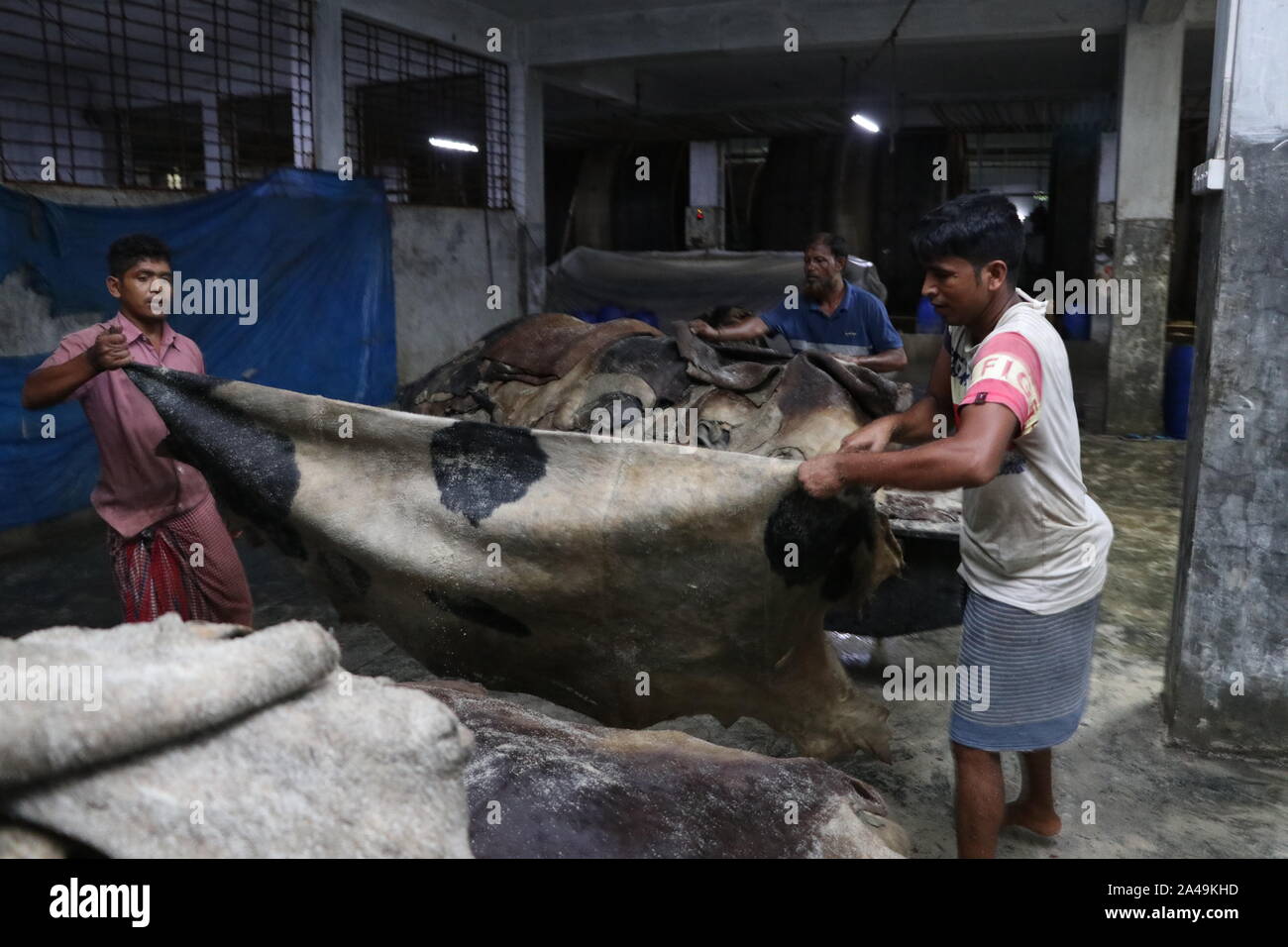 saver tannery workers Dhaka,Bangladesh 2019: Bangladeshi tannery ...