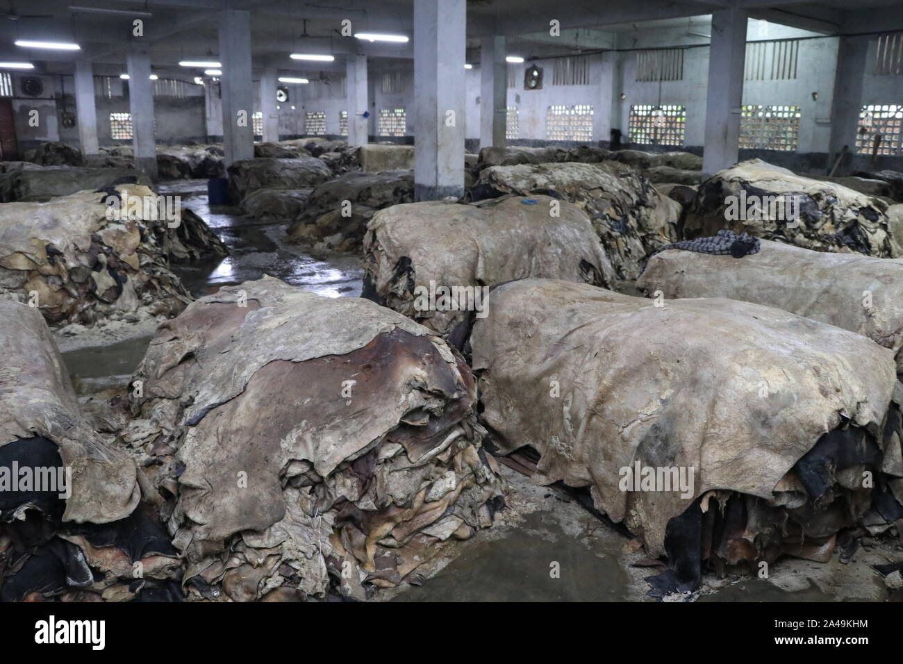 saver tannery workers Dhaka,Bangladesh 2019: Bangladeshi tannery ...