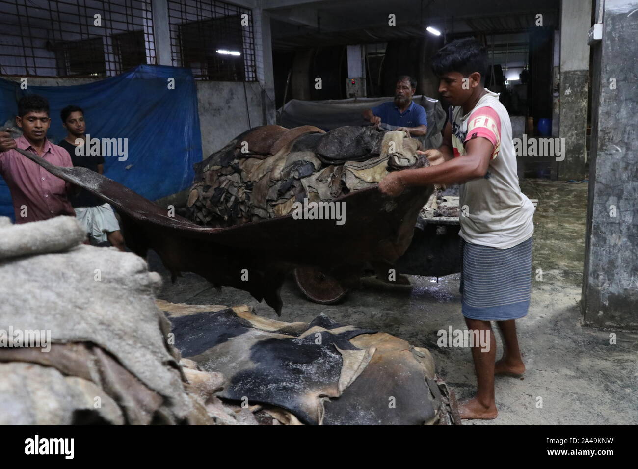 saver tannery workers Dhaka,Bangladesh 2019: Bangladeshi tannery ...