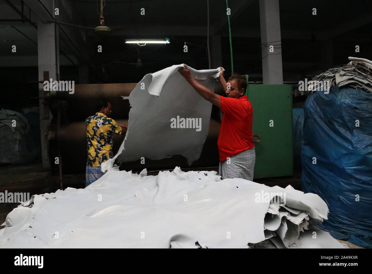 Dhaka,Bangladesh 2019: Bangladeshi tannery workers process raw leather ...