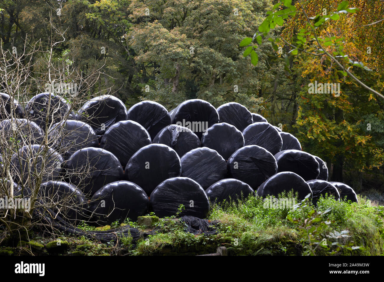 Bales of peat hi-res stock photography and images - Alamy