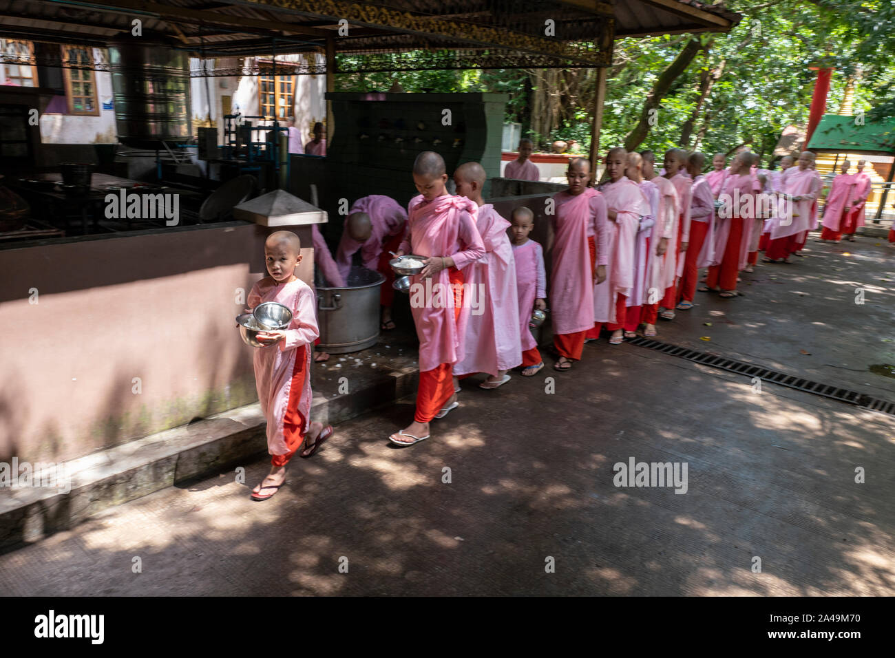 Buddhist nuns in Yangon, Myanmar wearing the traditional pink robes ...