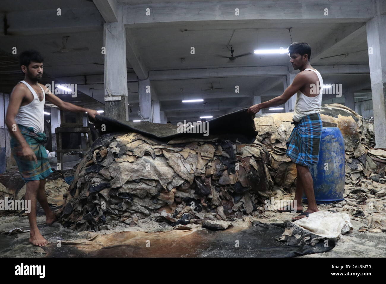 saver tannery workers Dhaka,Bangladesh 2019: Bangladeshi tannery ...