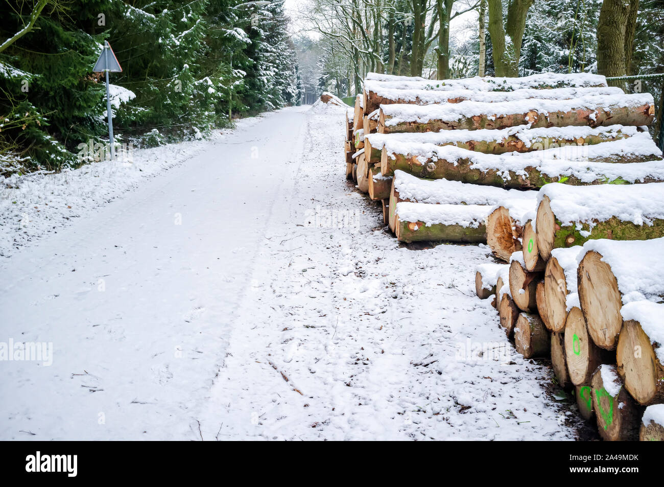 Pile of sawn logs with bark are stacked on the lawn by the road and ...
