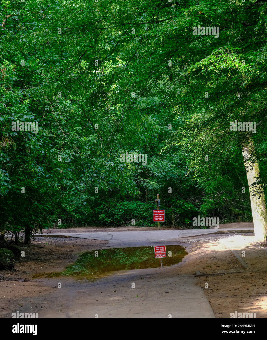 Rain in the park hi-res stock photography and images - Alamy