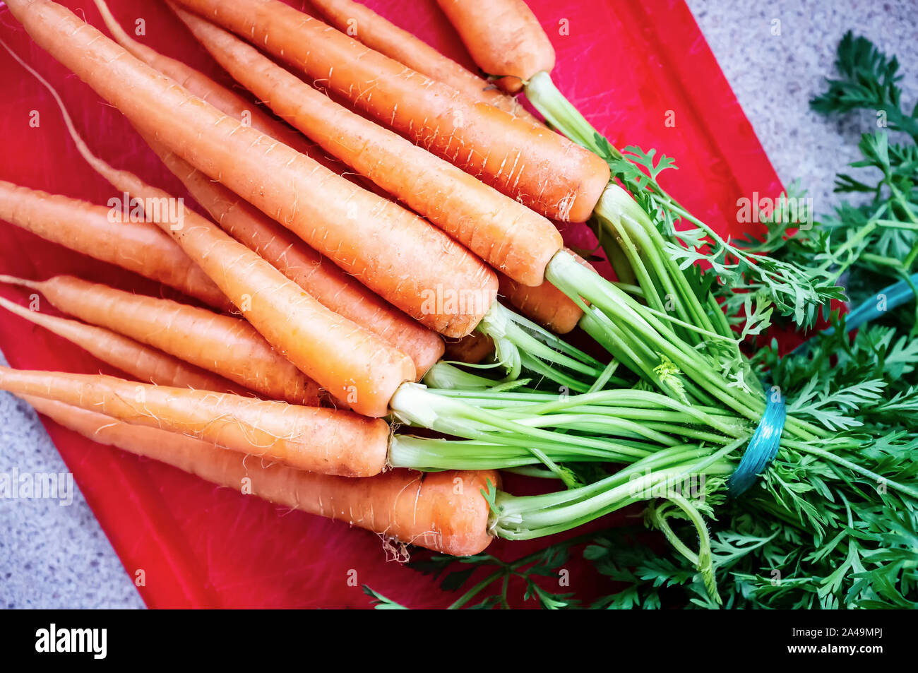Appetizing bunch of fresh raw carrots tied with string on a red cutting ...