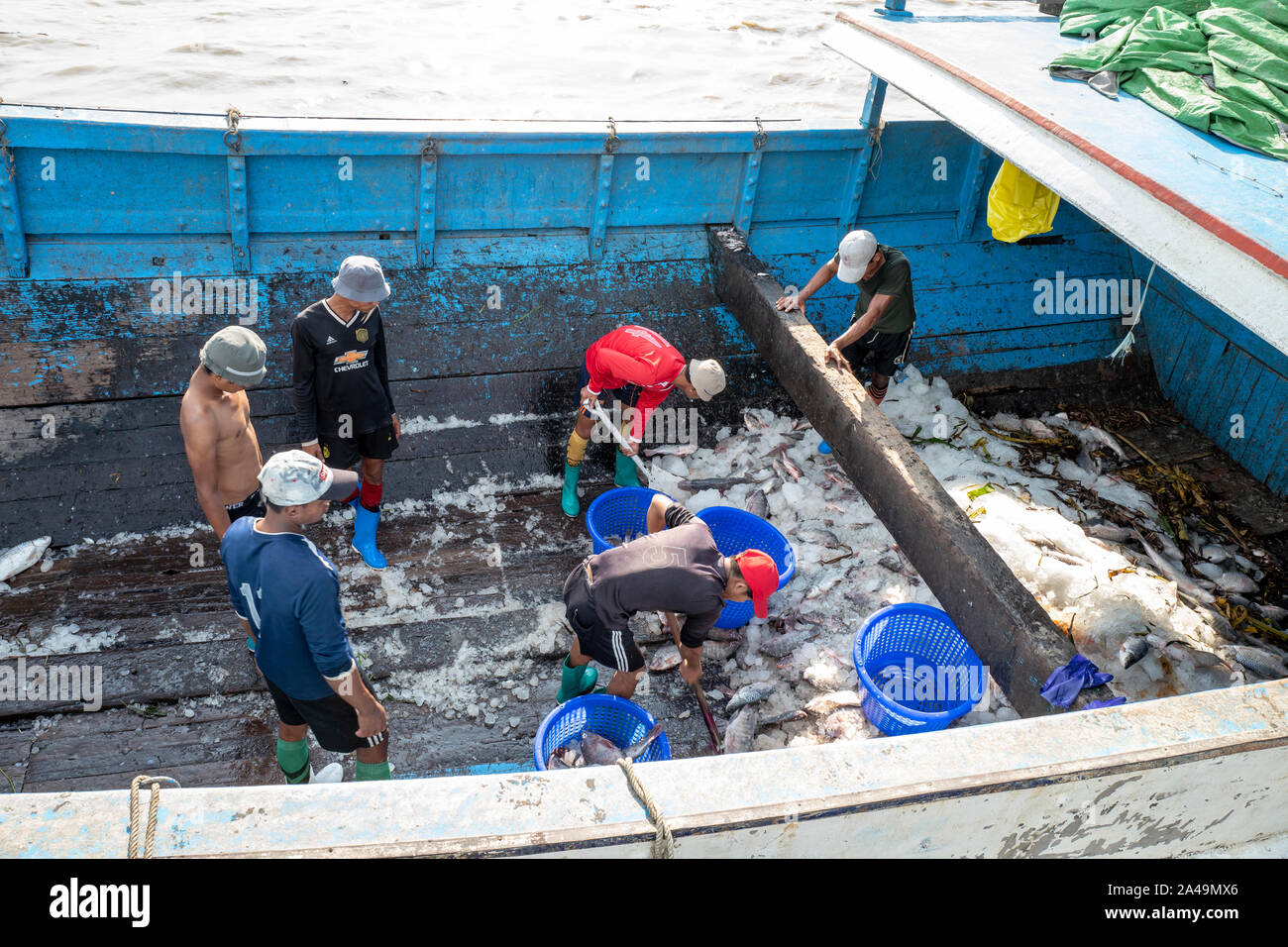 Trawler landing fish hi-res stock photography and images - Alamy