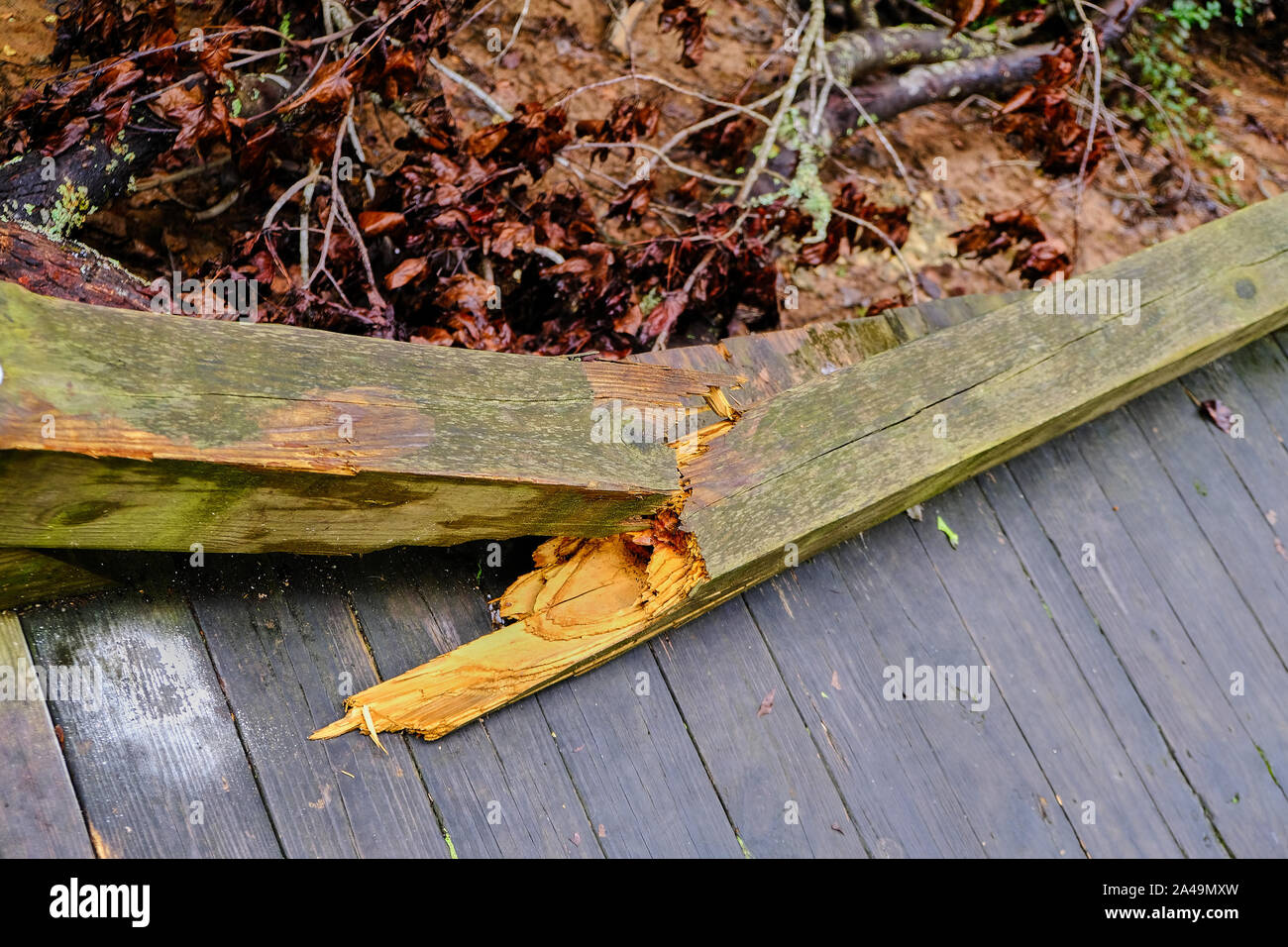 Broken Treated Lumber Board Stock Photo - Alamy