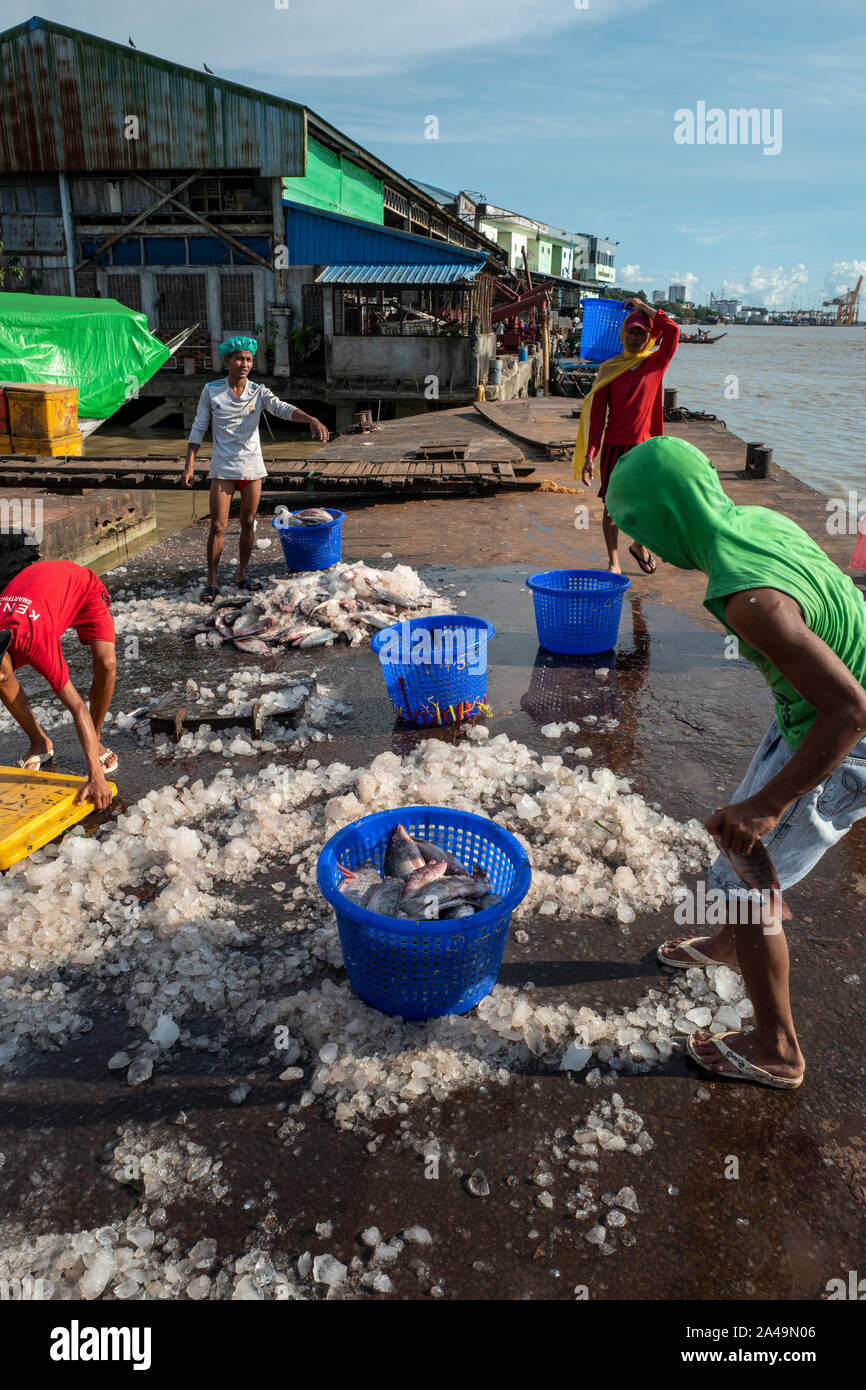 Landing fish at the river docks in Yangon, Myanmar Stock Photo - Alamy