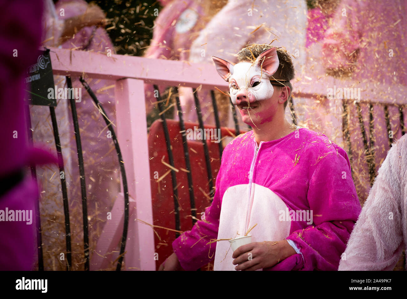 Pig masks and festival hi-res stock photography and images - Alamy