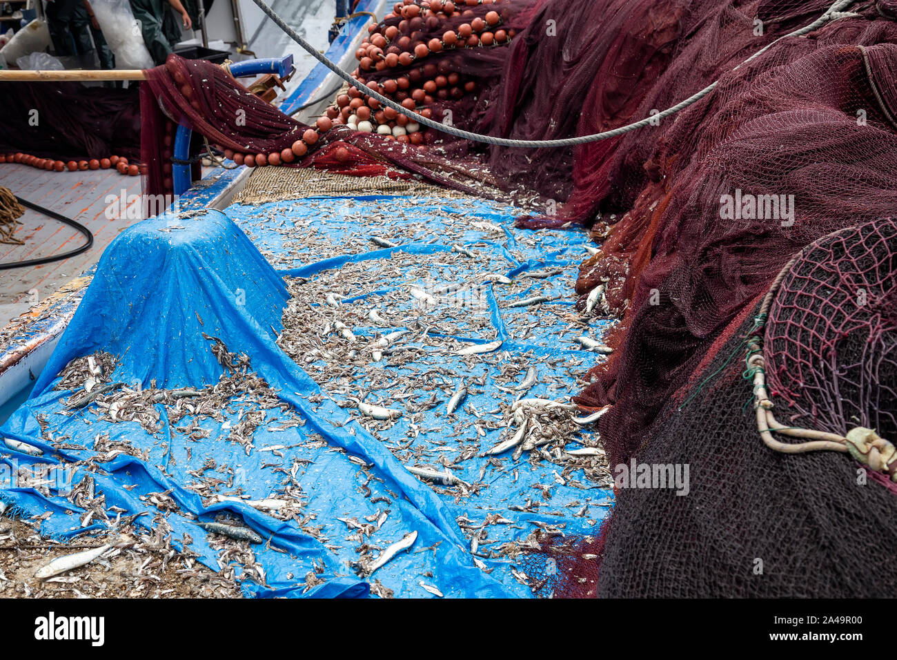 After fishermen cleaning nets and spread on the ground of a fishing ...