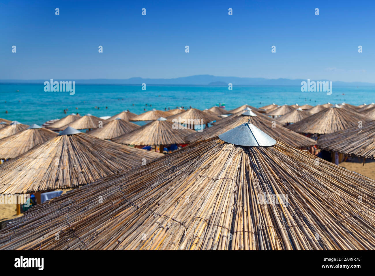 Sandy cane hi-res stock photography and images - Alamy
