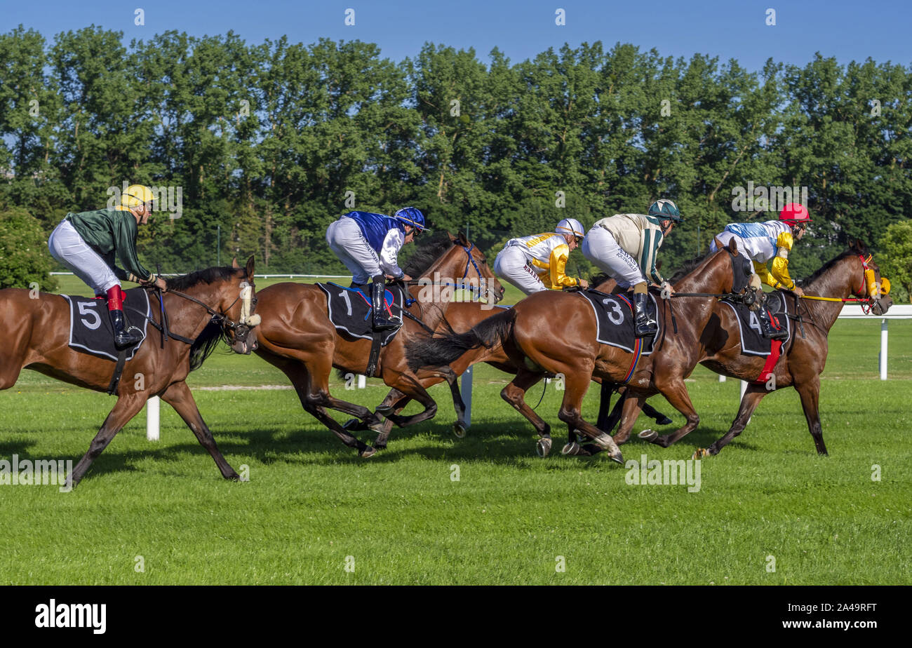 Horse racing in Munich Daglfing, Bavaria, Germany Stock Photo - Alamy