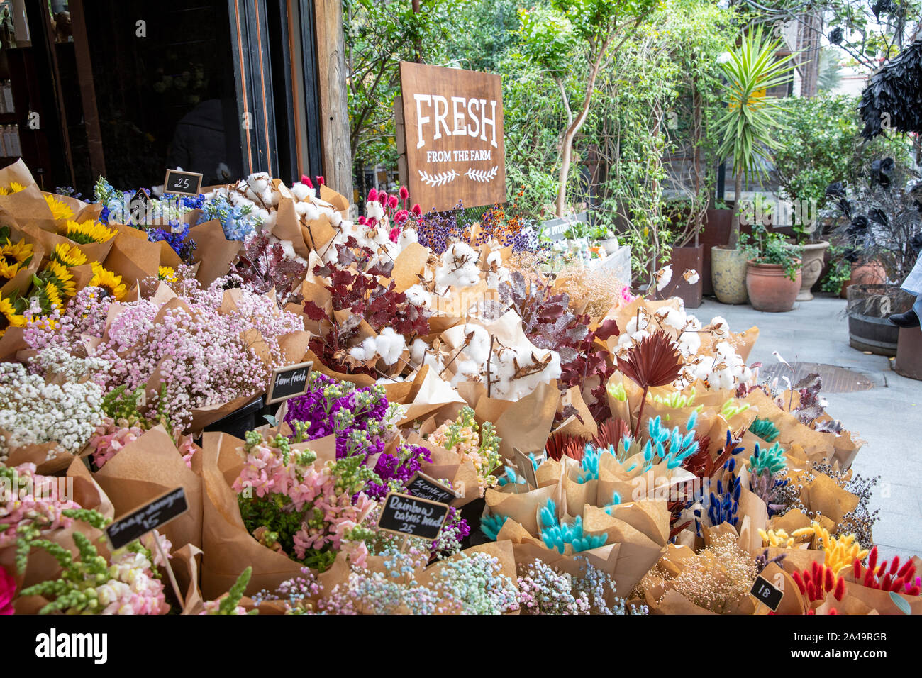 Alexandria nsw hi-res stock photography and images - Alamy