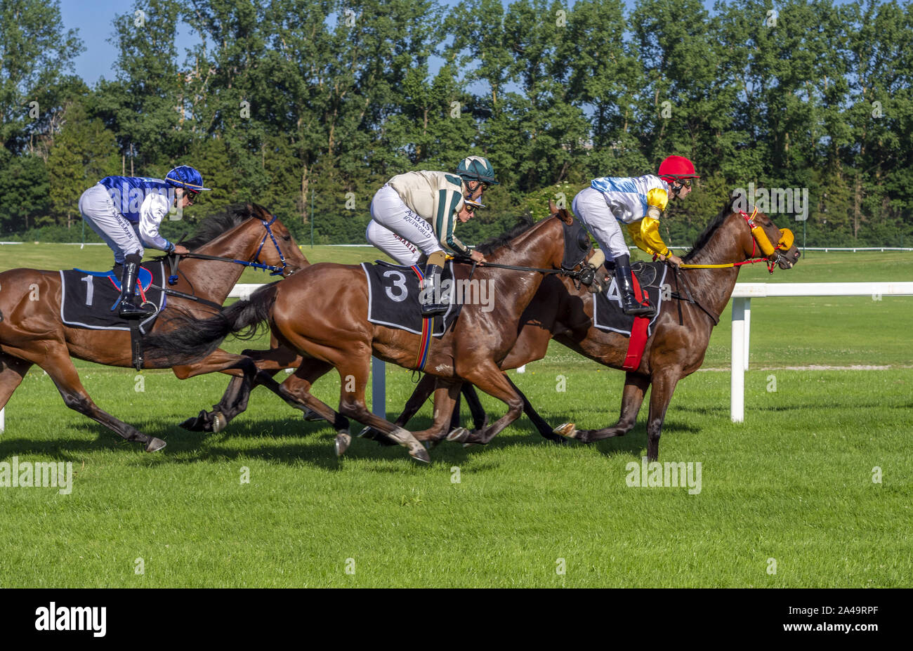 Munich horse racing hi-res stock photography and images - Alamy