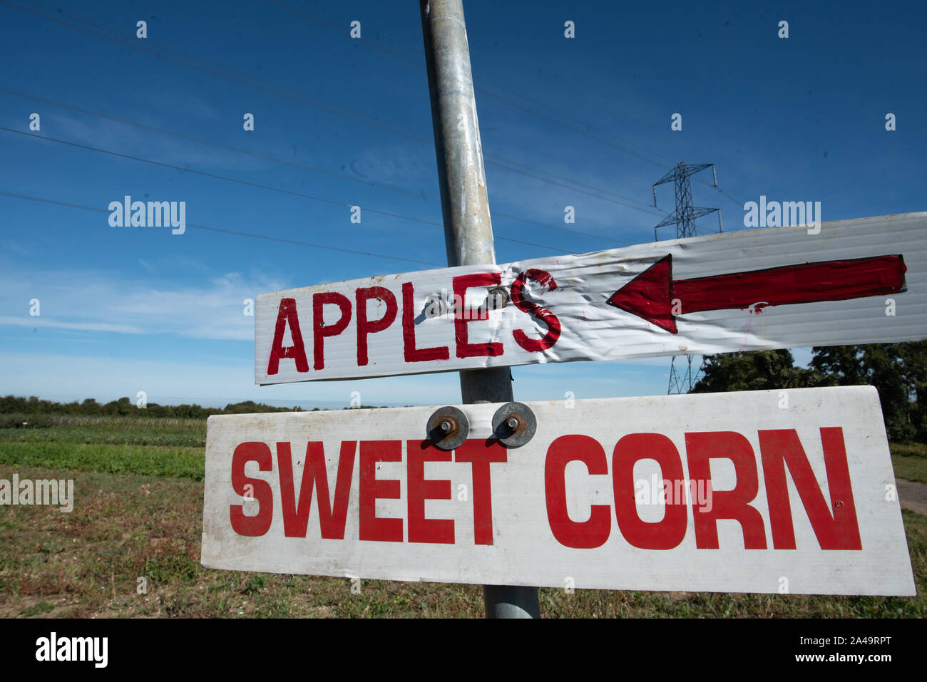 Sweet corn sign hi-res stock photography and images - Alamy