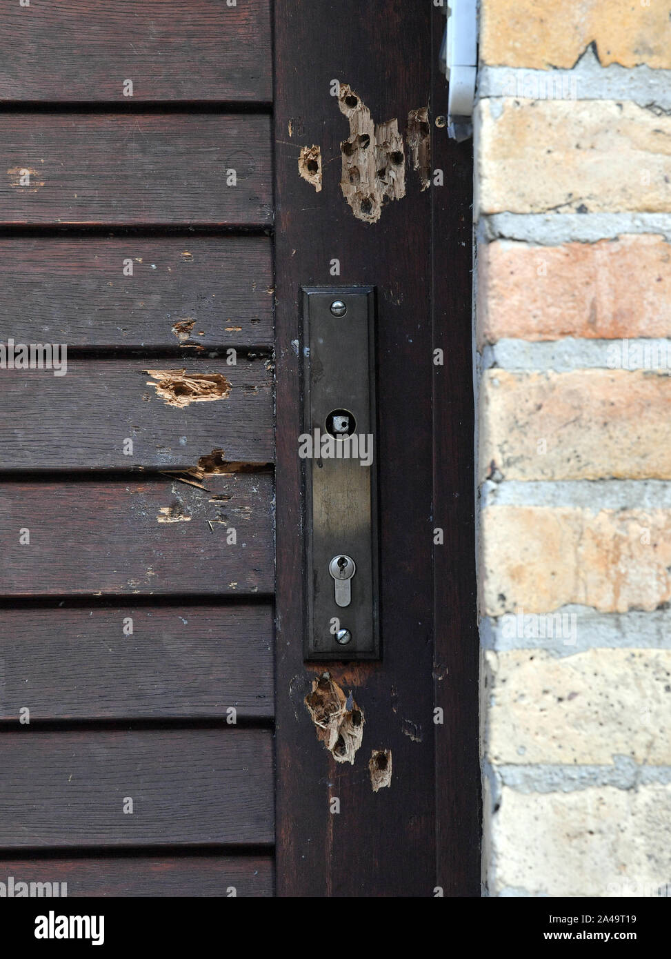 Halle, Germany. 13th Oct, 2019. After the attack of a right-wing ...