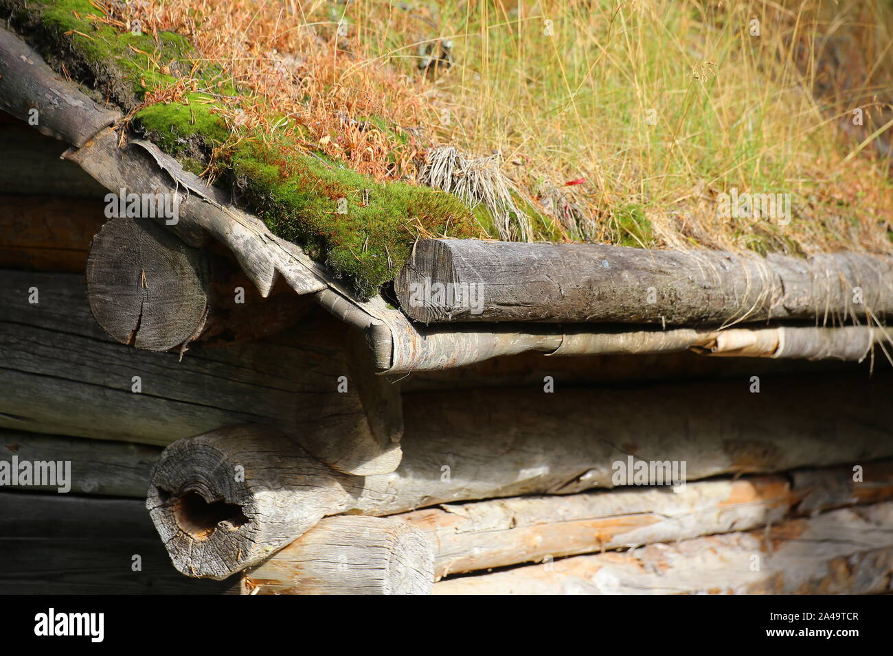 Detail of sod roof in traditional Sami architecture Stock Photo - Alamy