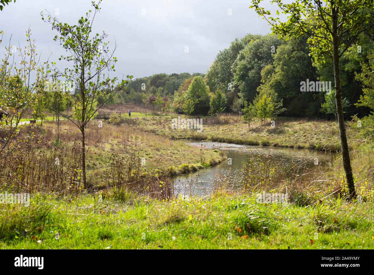 Shenley wood hi-res stock photography and images - Alamy