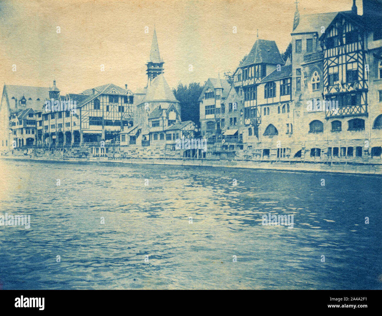 Cynograph hi-res stock photography and images - Alamy