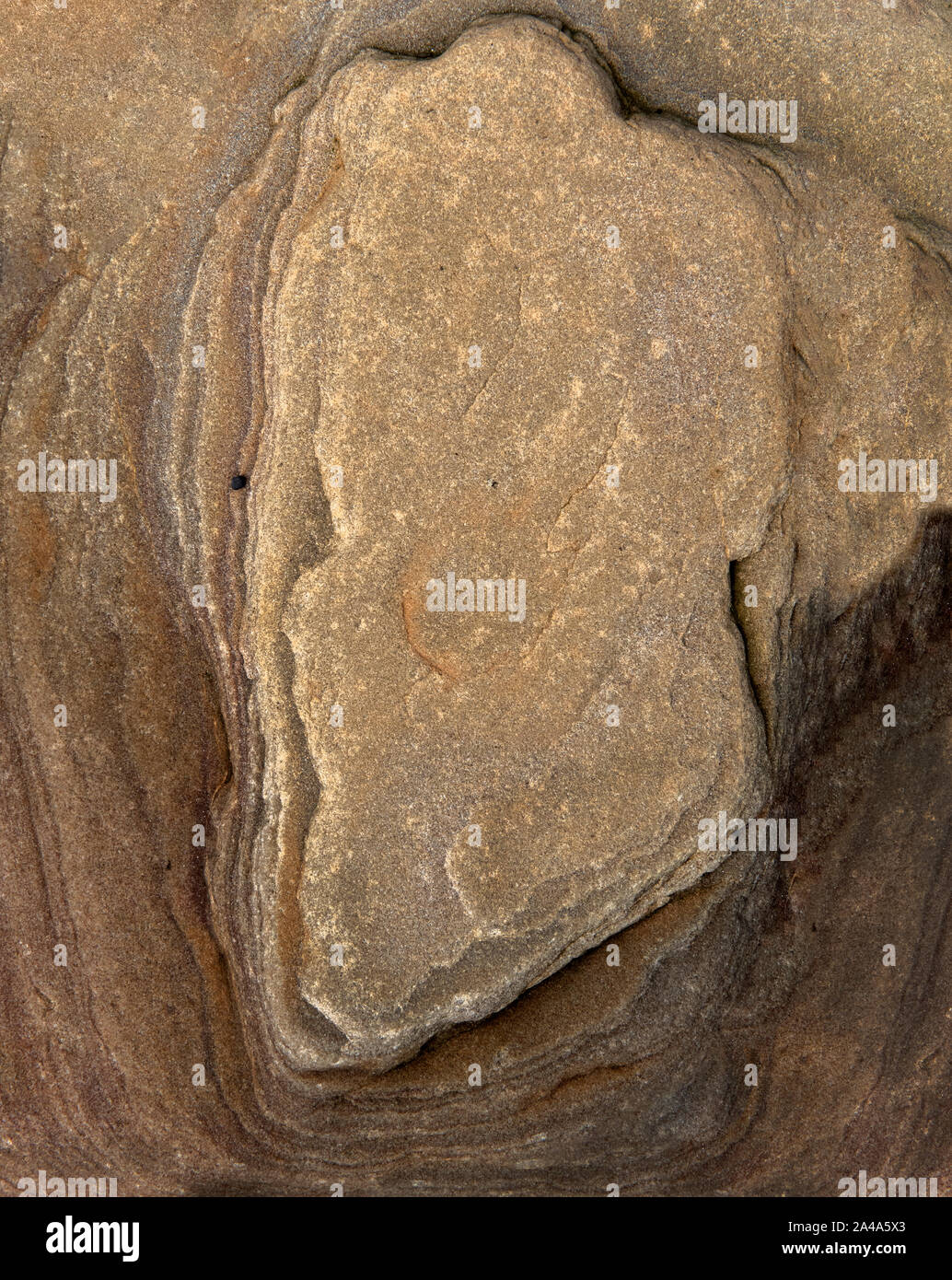 Sedimentary sandstone textured and coloured background Stock Photo - Alamy