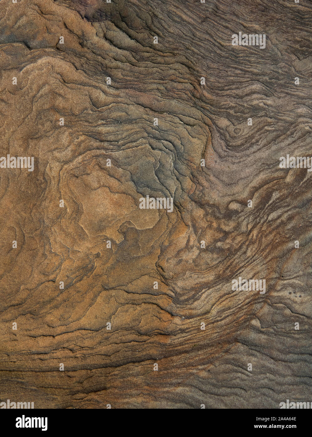 Sedimentary sandstone textured and coloured background Stock Photo - Alamy