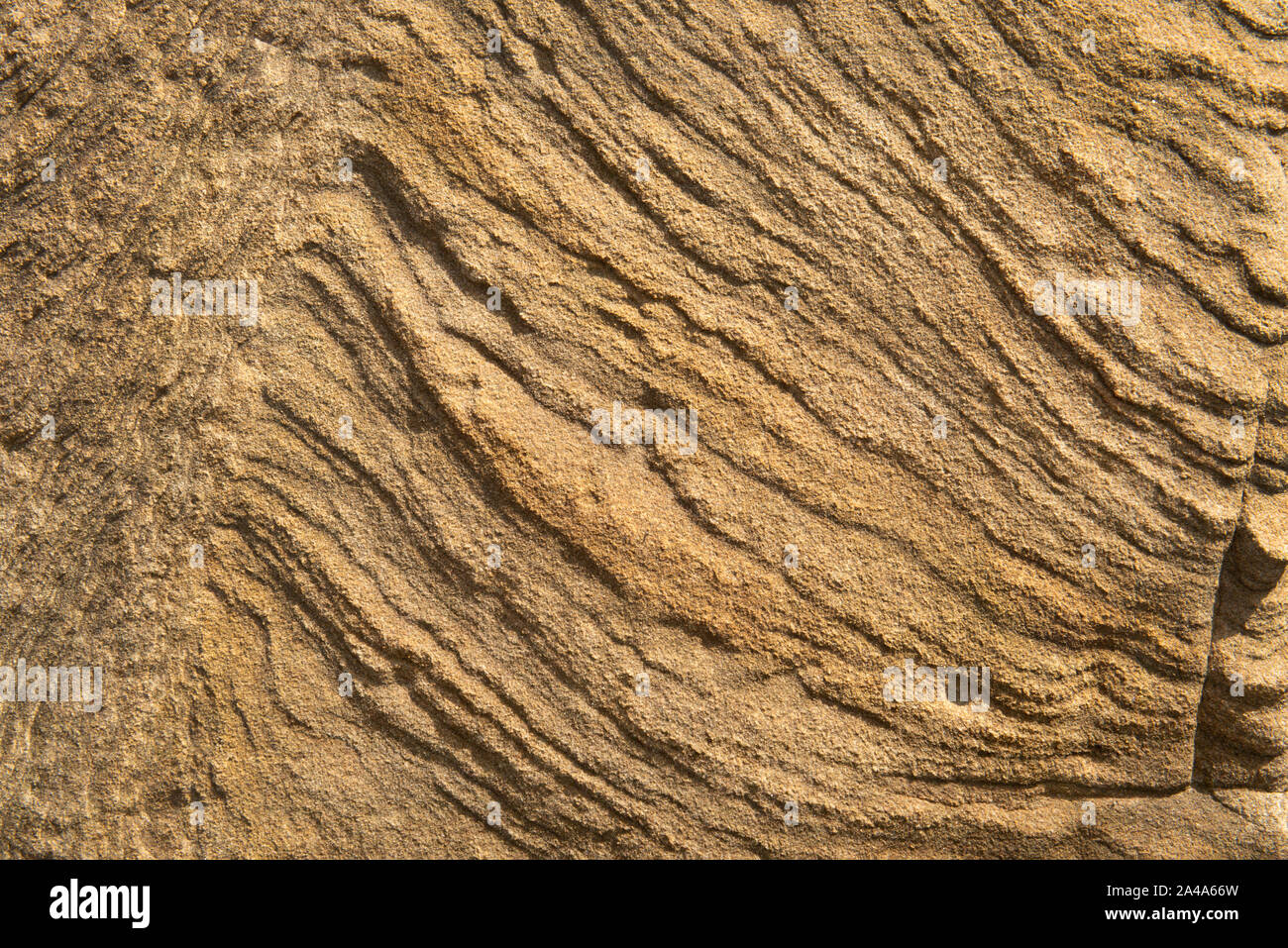 Sedimentary sandstone textured and coloured background Stock Photo - Alamy