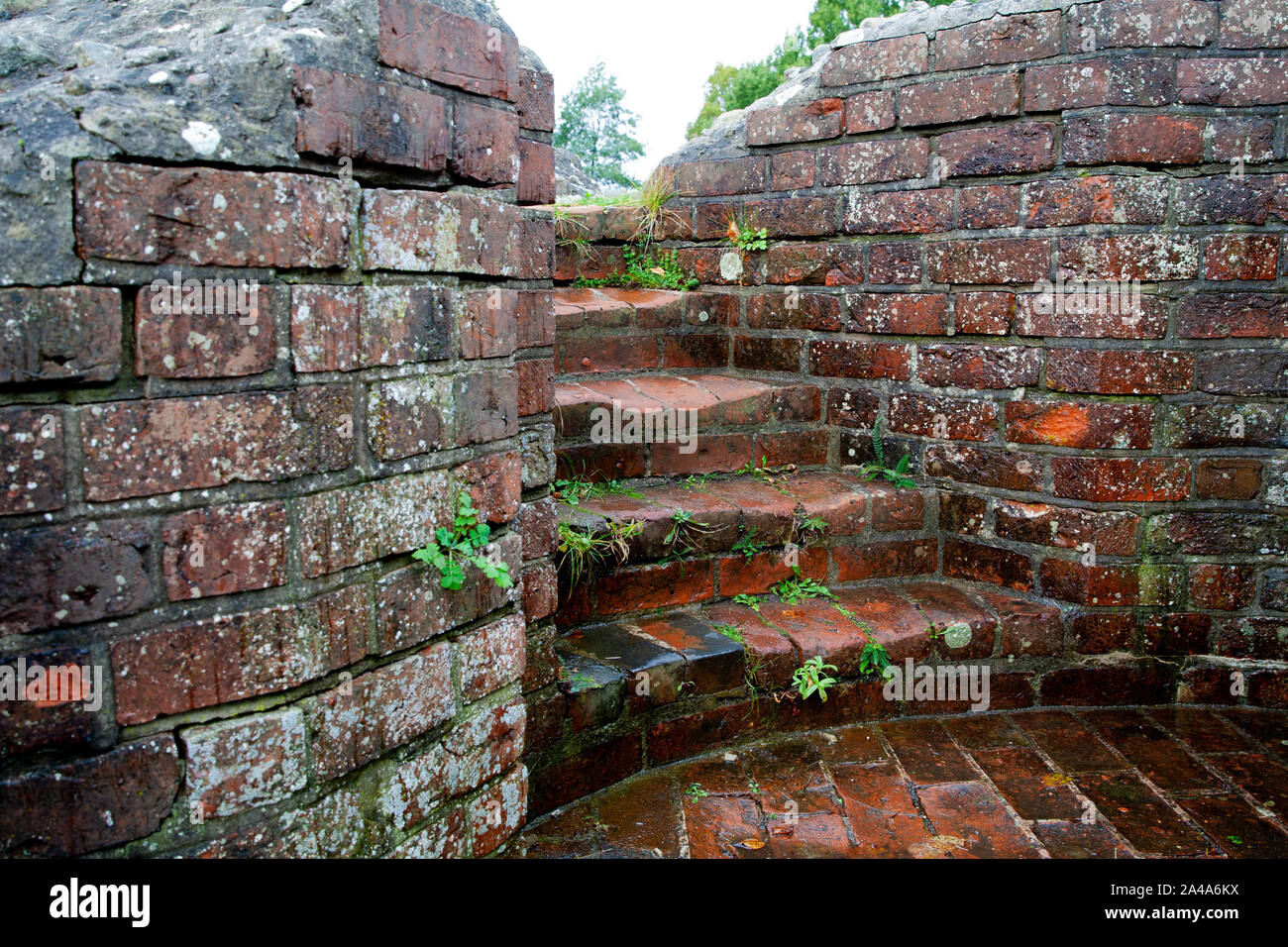 Valdemar Atterdag High Resolution Stock Photography and Images - Alamy