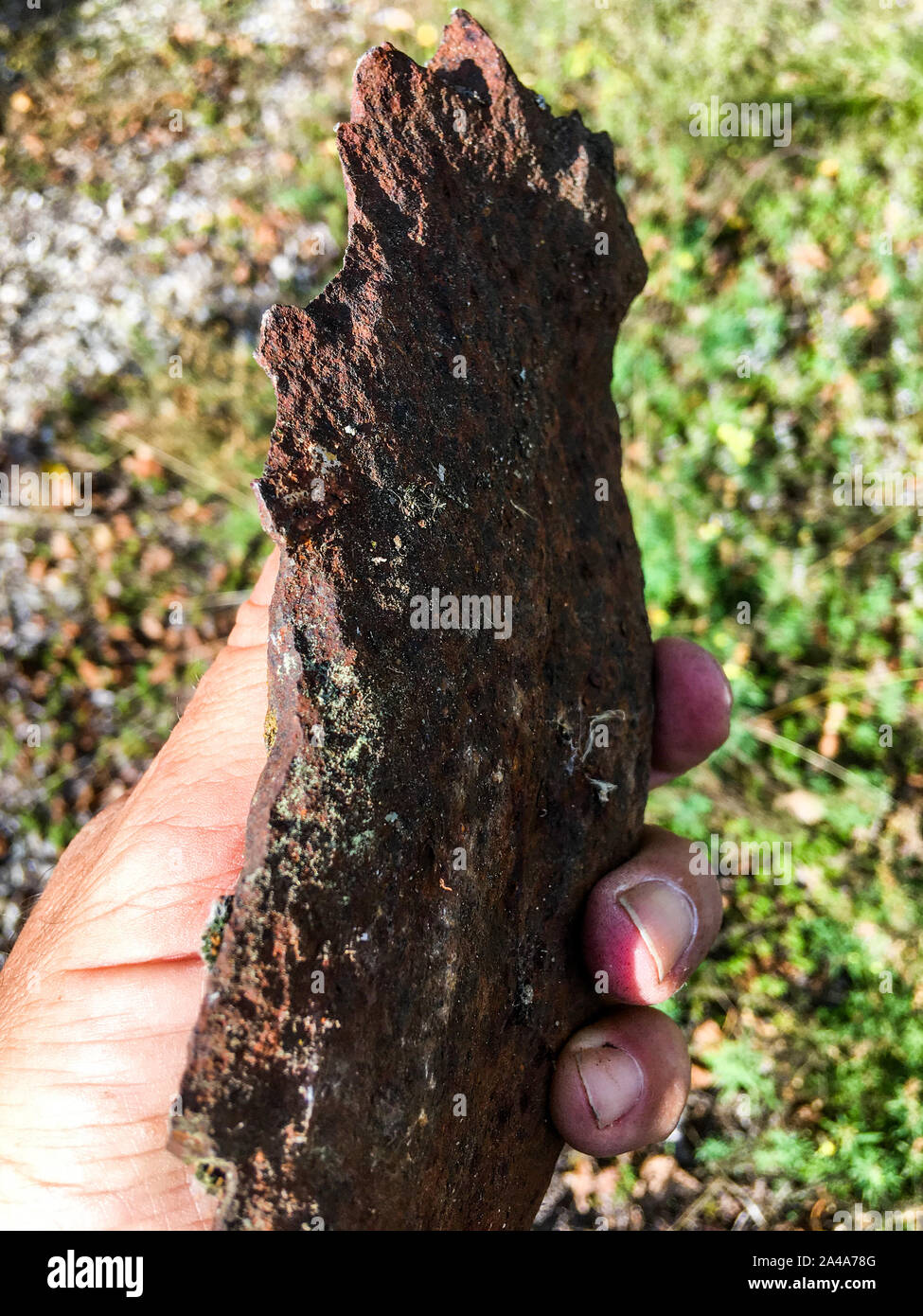 Heavy gun shell schrapnel from First World War battlefield of Verdun ...