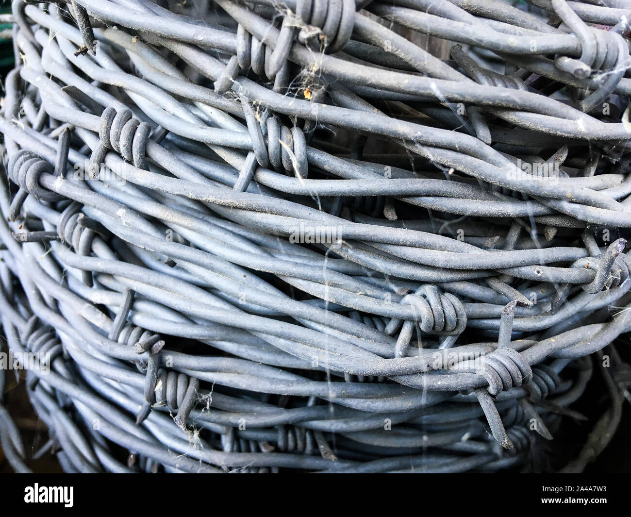 Barbed wire roll, Lyon, France Stock Photo - Alamy