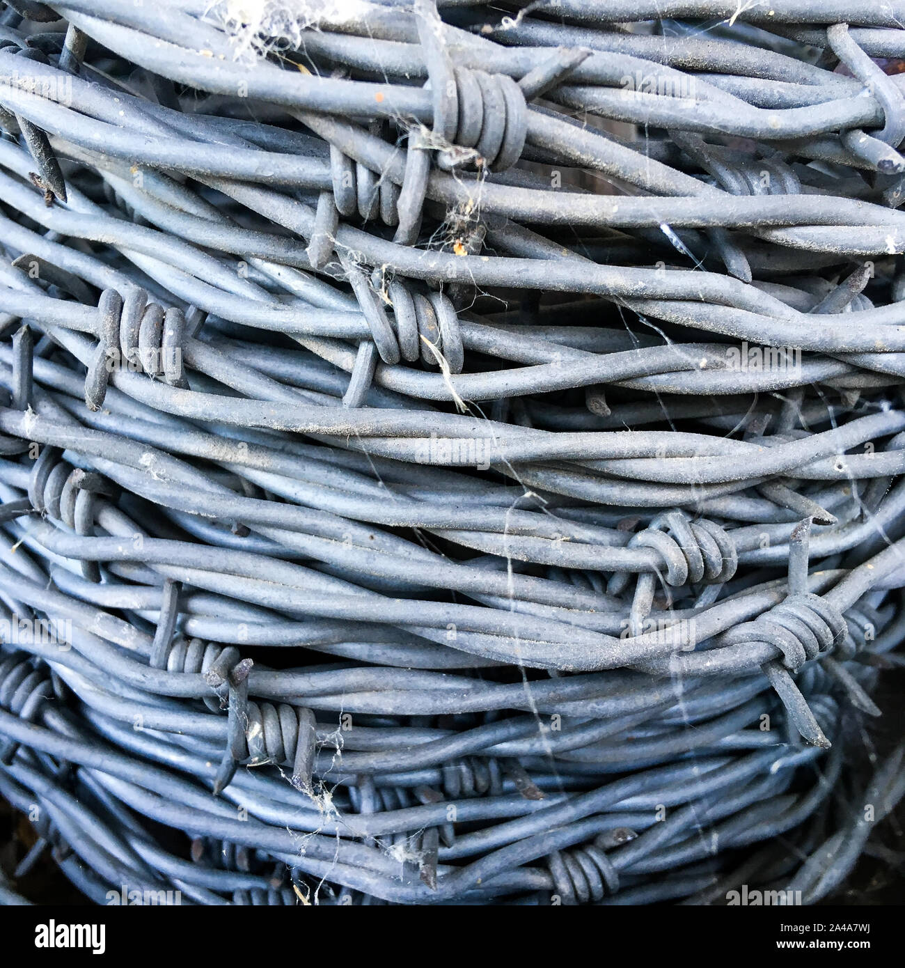 Barbed wire roll, Lyon, France Stock Photo - Alamy