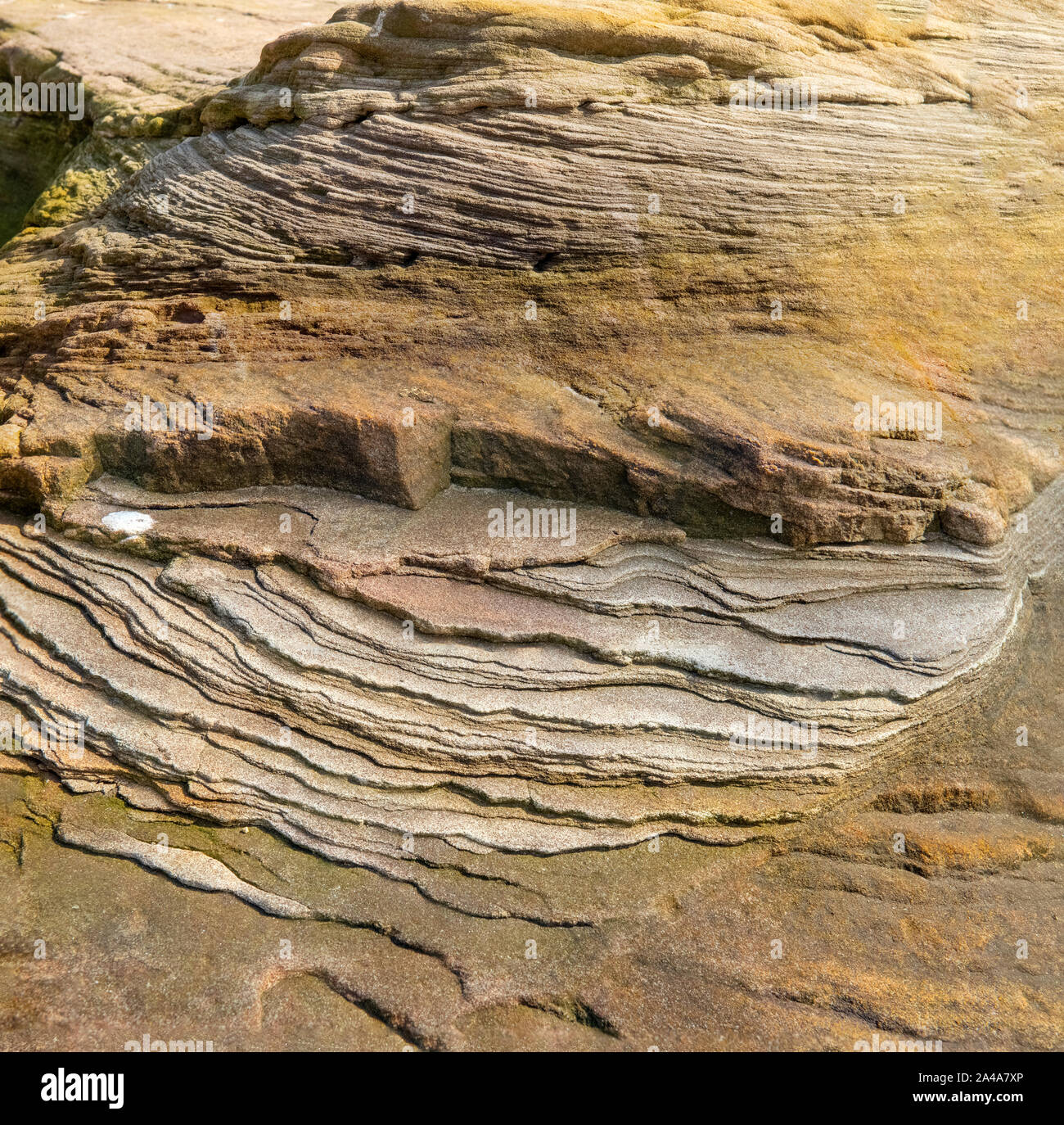 Sedimentary sandstone textured and coloured background Stock Photo - Alamy