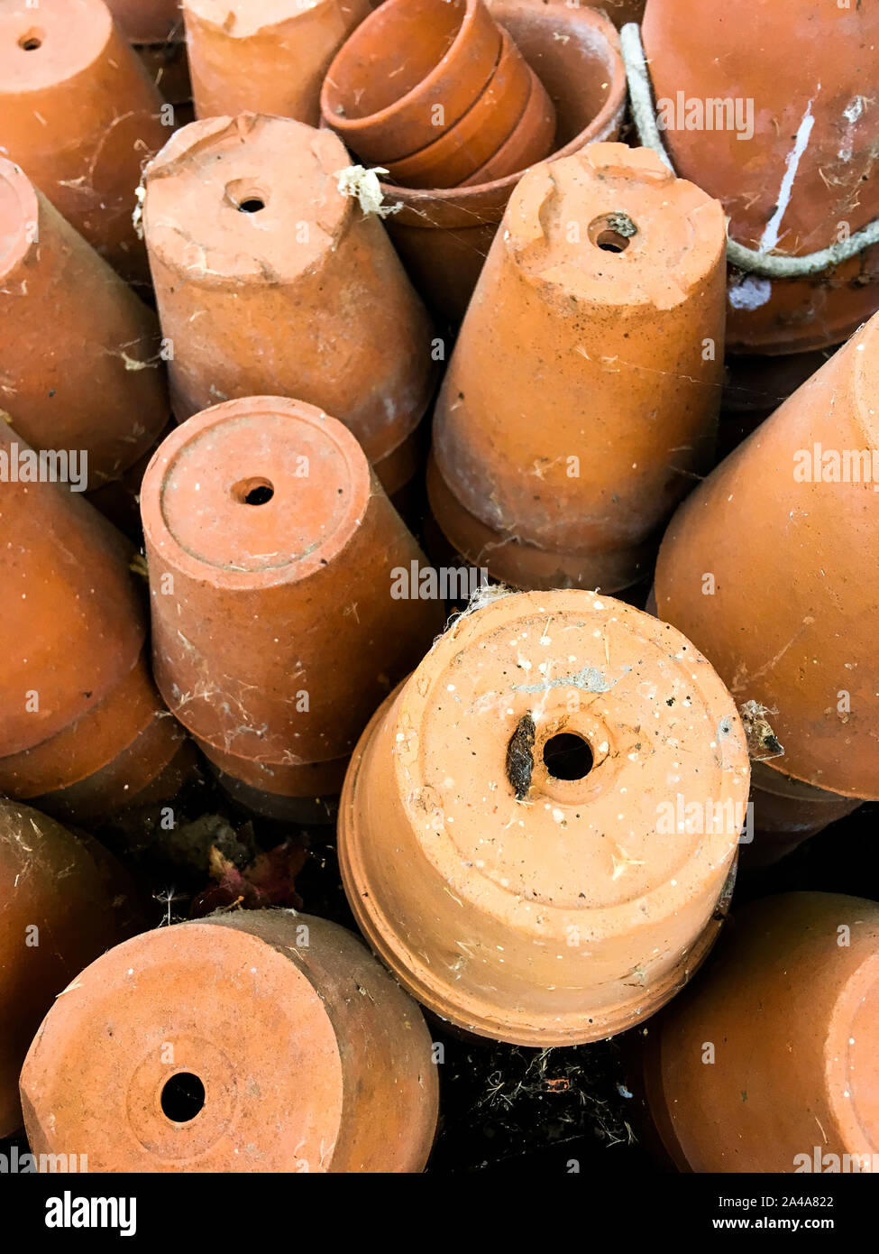 Empty plant pot, Lyon, France Stock Photo - Alamy