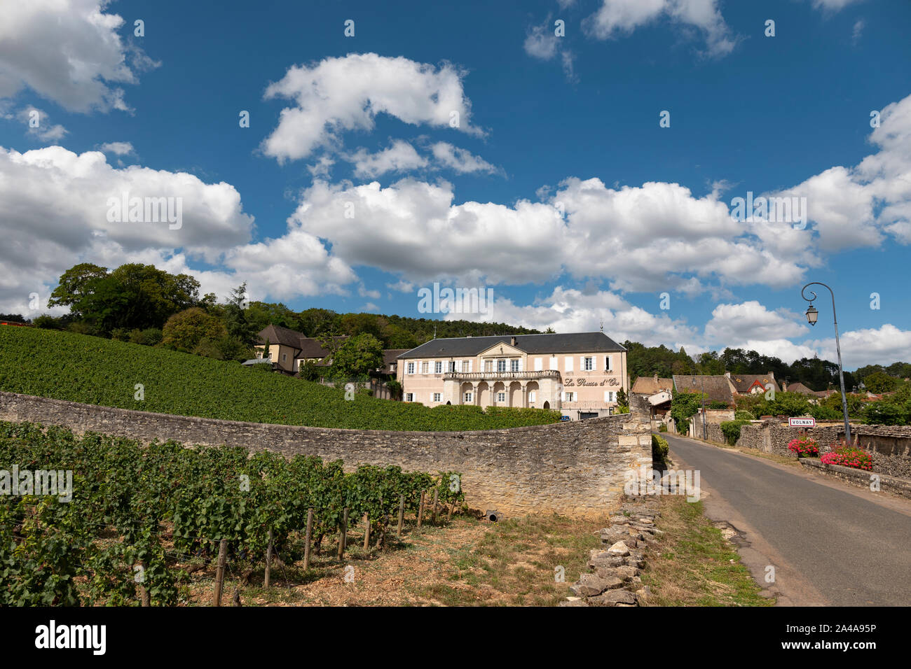 The historic wine estate of Domaine de la Pousse d'Or, Volnay, Burgundy ...