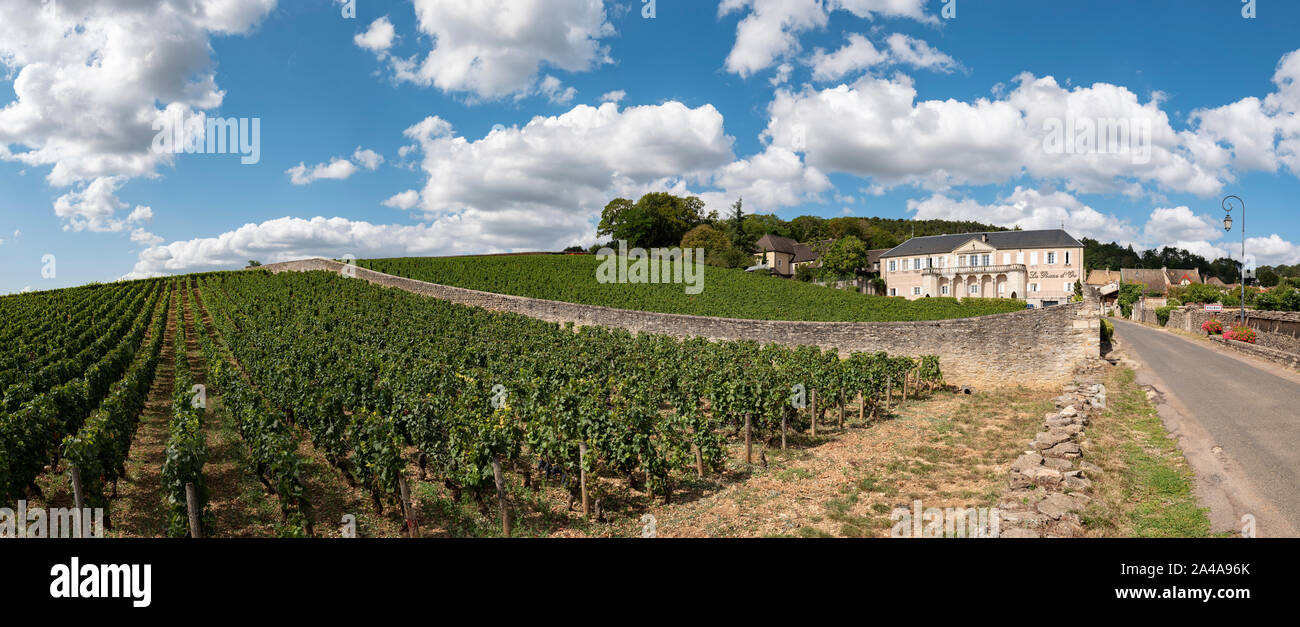 The historic wine estate of Domaine de la Pousse d'Or, Volnay, Burgundy ...