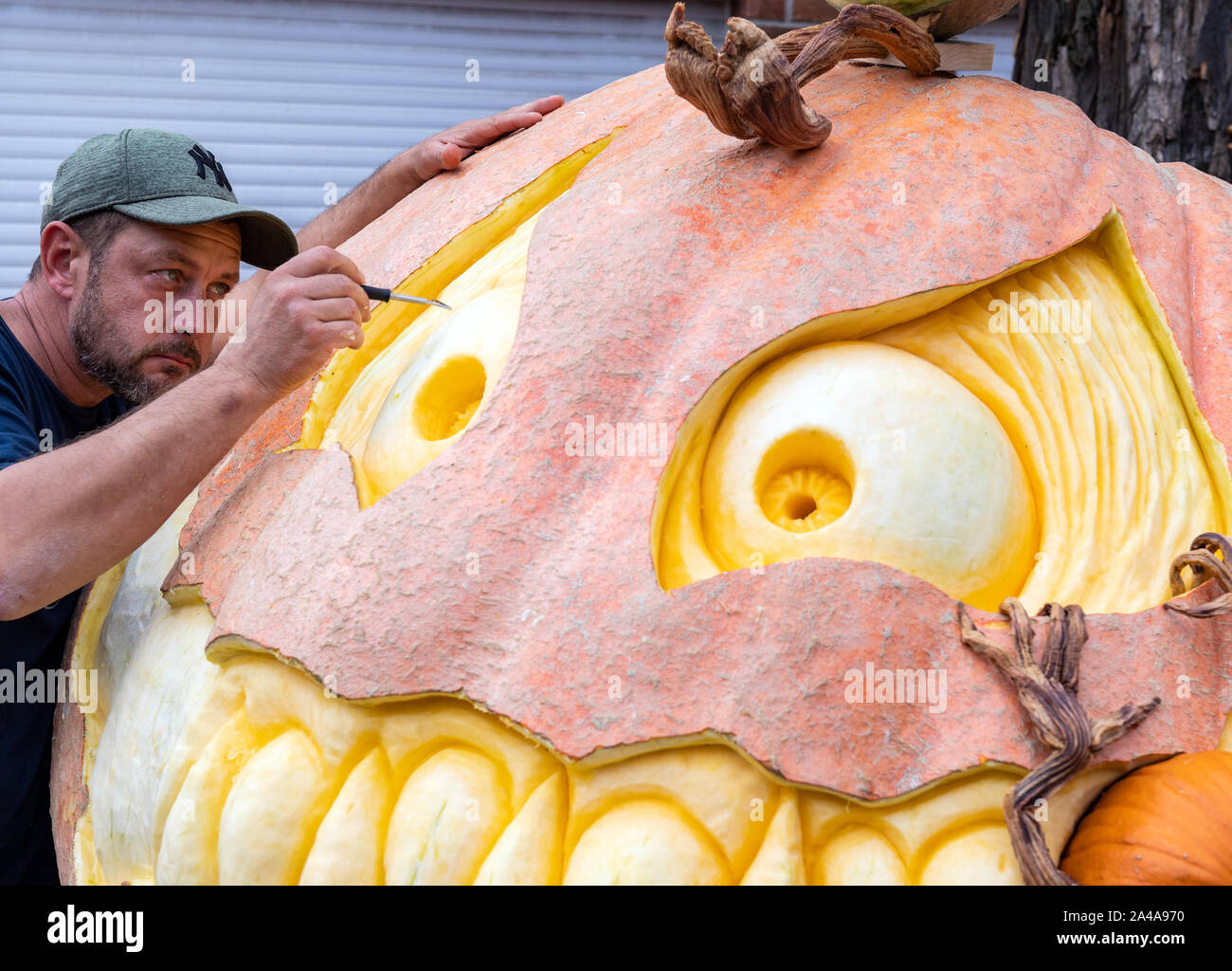 Marcus breed hi-res stock photography and images - Alamy