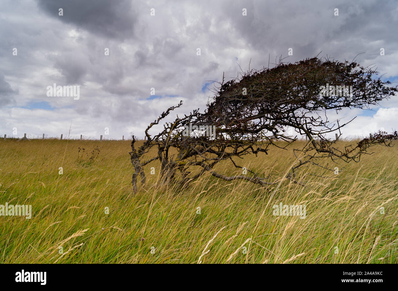 The countryside above the cliffs of Dover Stock Photo - Alamy