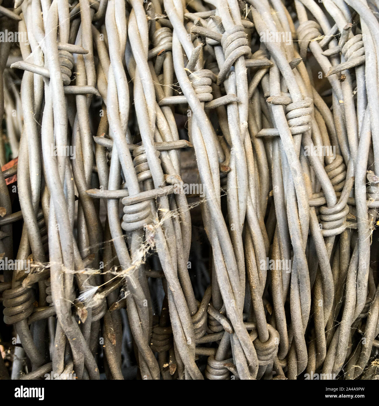 Barbed wire roll, Lyon, France Stock Photo - Alamy