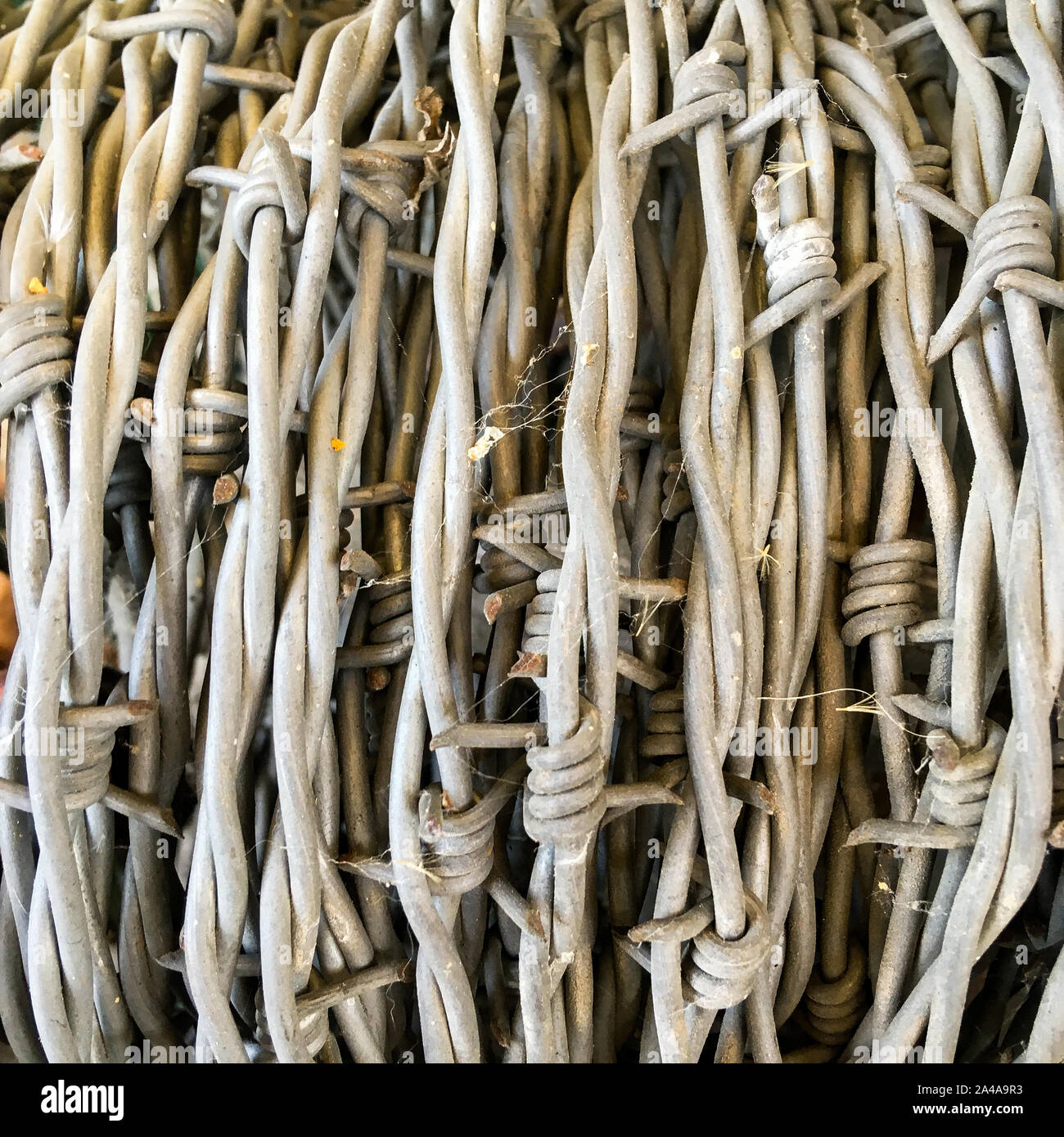 Barbed wire roll, Lyon, France Stock Photo - Alamy