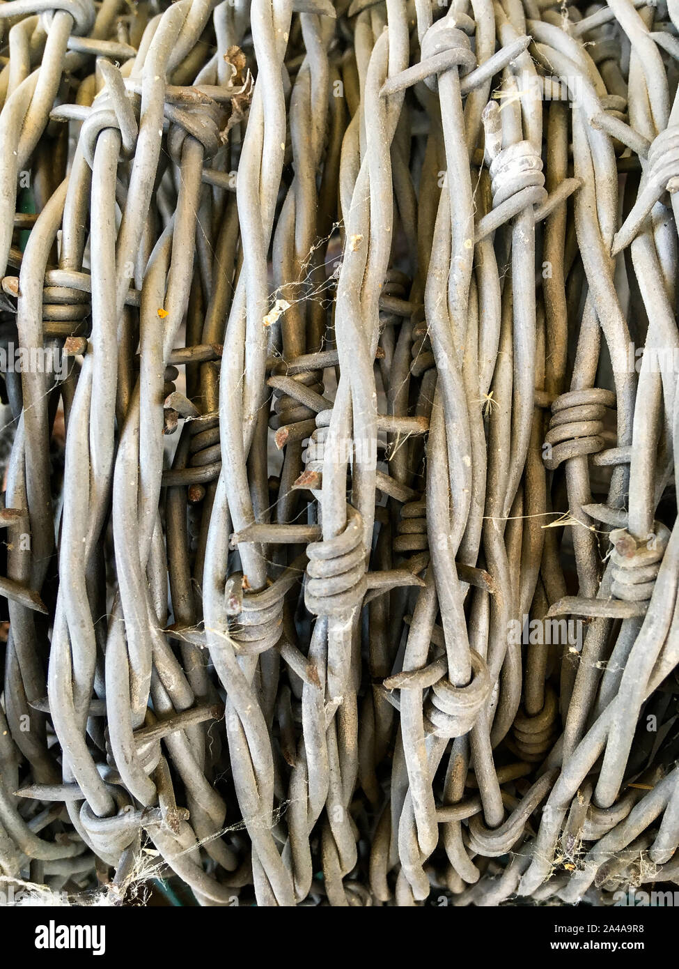 Barbed wire roll, Lyon, France Stock Photo - Alamy