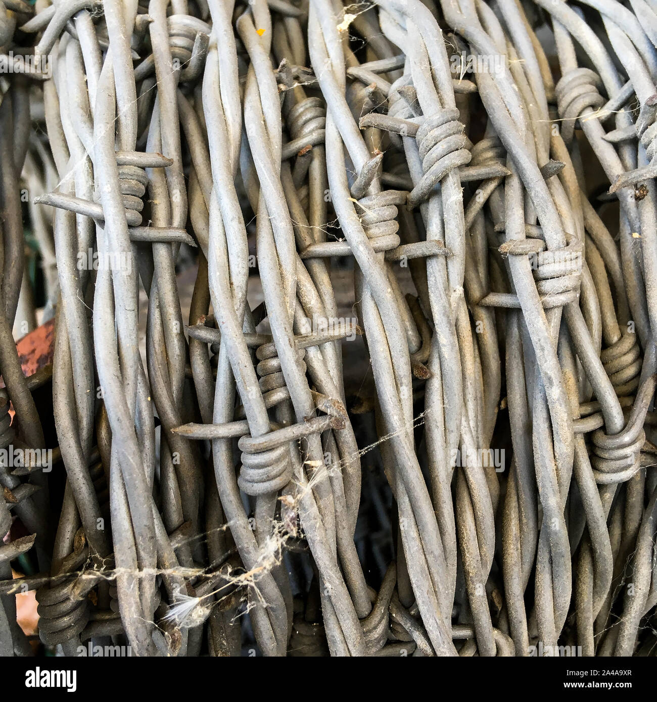 Barbed wire roll, Lyon, France Stock Photo - Alamy