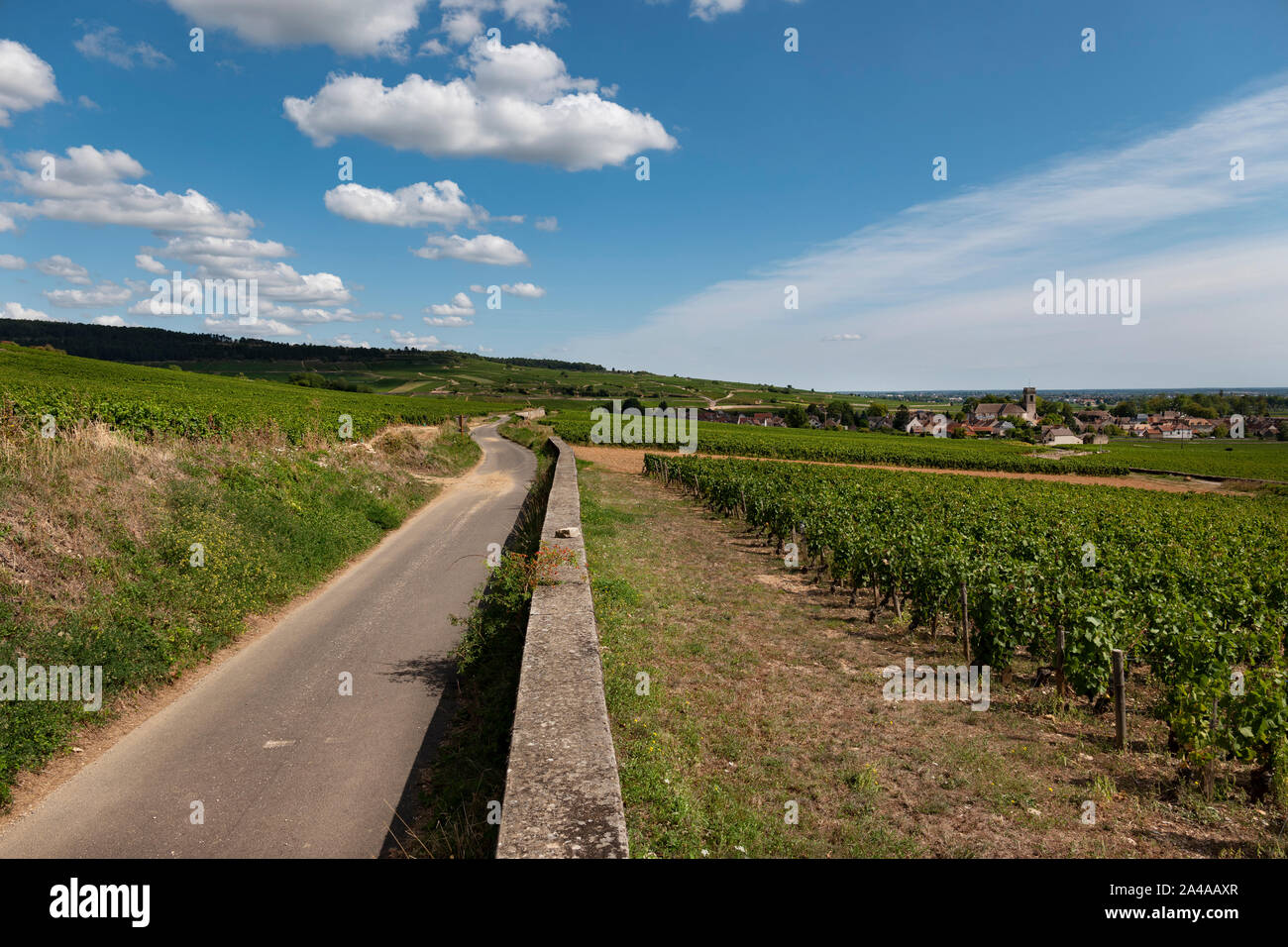 France.Cote de Beaune wine route, Burgundy, France Stock Photo - Alamy